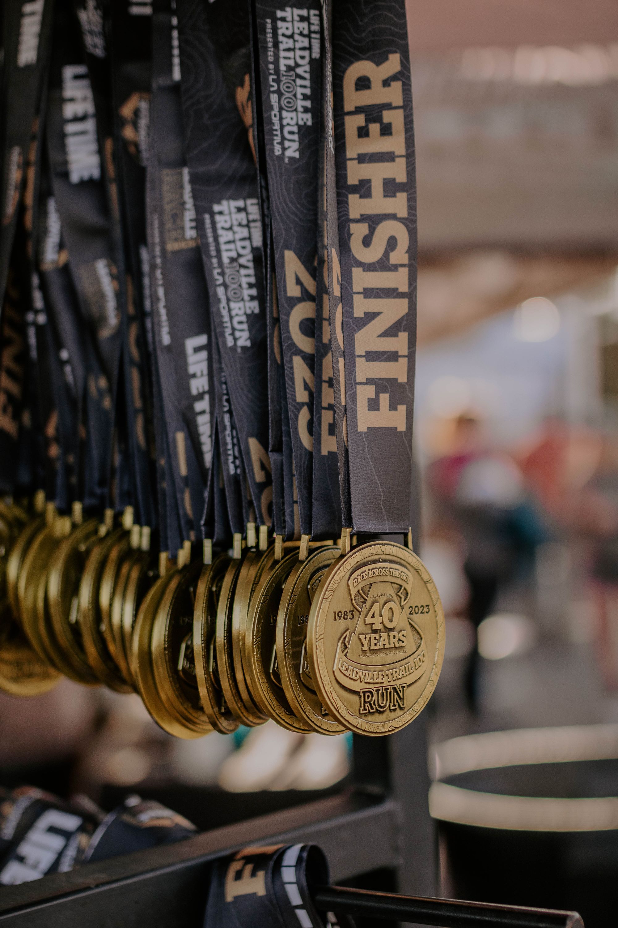 Training Plans | Boundless - Endurance Coaching