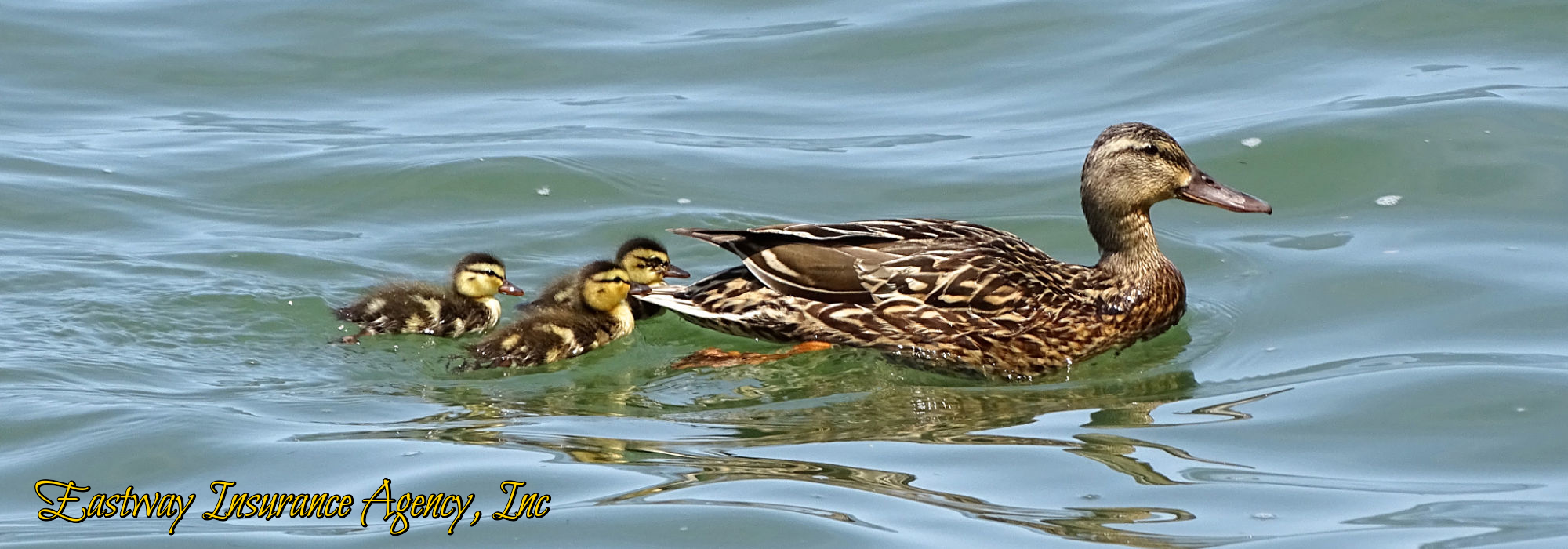 Eastway Insurance Agency, Inc.