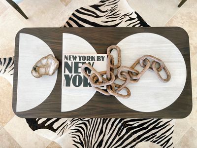 Contemporary interior designer in Austin, Texas. - Jane Reece