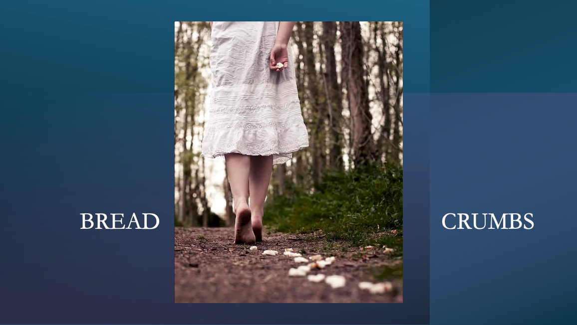 Ann Medlock | Writer, Speaker, Founder of Giraffe Heroes Project