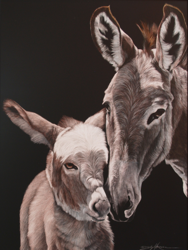 Originals Sally Maxwell Master Scratchboard Artist
