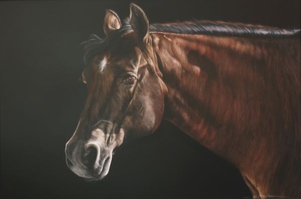 Originals Sally Maxwell Master Scratchboard Artist