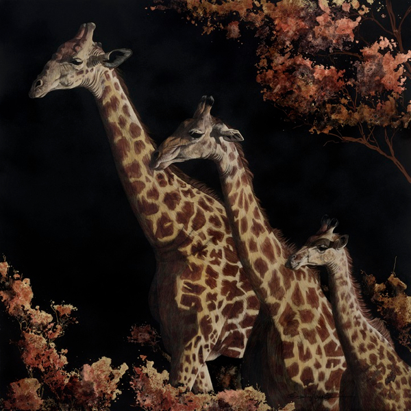 Originals Sally Maxwell Master Scratchboard Artist