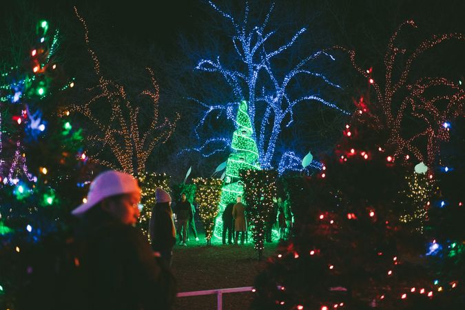 Austin Trail of Lights