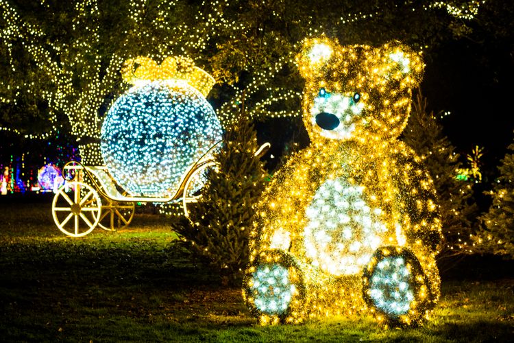 Austin Trail of Lights - Austin Trail of Lights