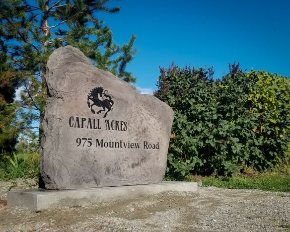 Engraved rock | Decorative boulders | Stone Signs - Boulder Designs