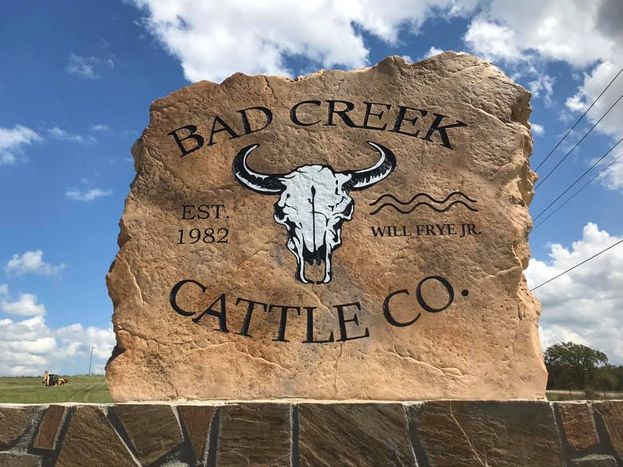 Engraved rock | Decorative boulders | Stone Signs - Boulder Designs