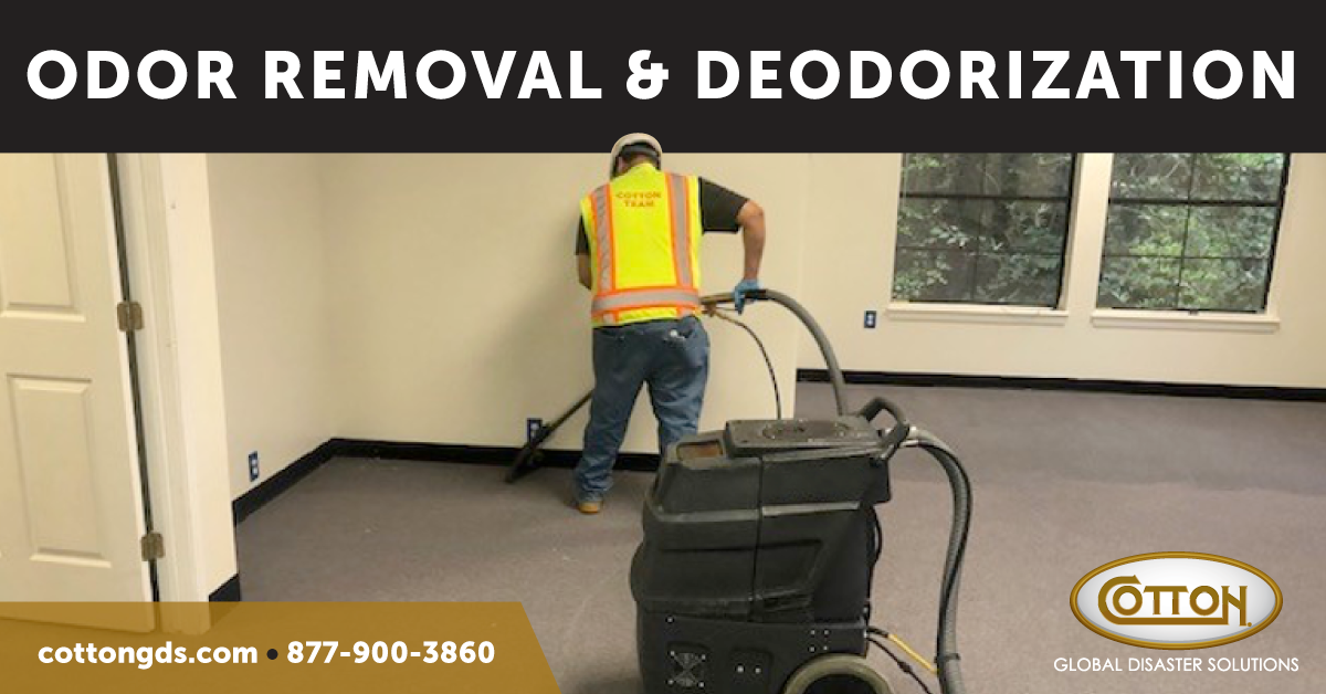 Commercial Odor Removal & Deodorization Services | Cotton GDS