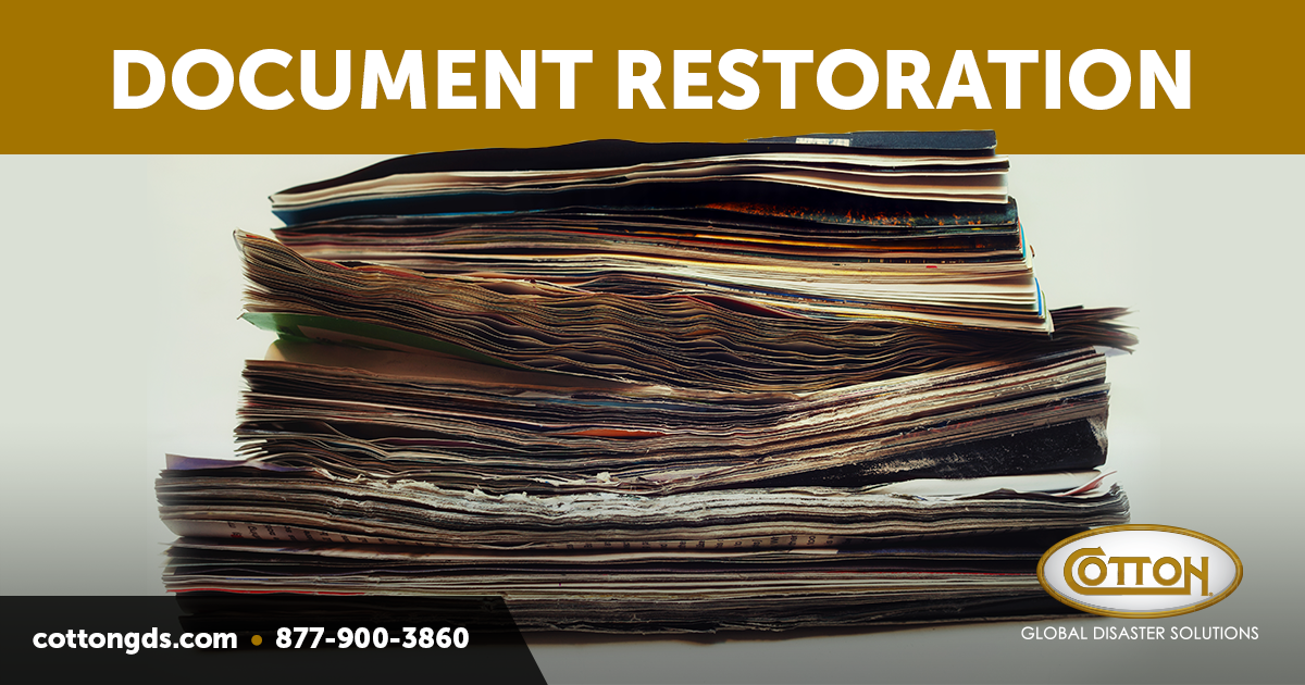 Commercial Document Recovery & Restoration Services | Cotton GDS