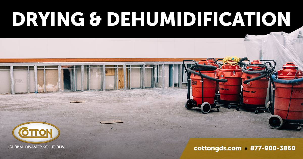 Commercial Drying & Dehumidification Services | Cotton GDS